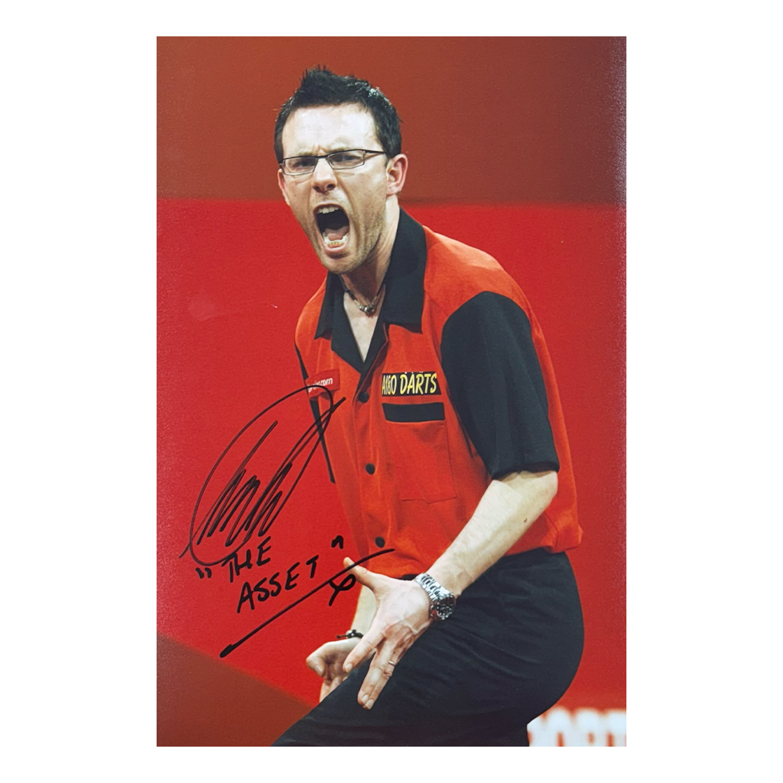 Paul Nicholson Darts 12x8 – The Fan Cave Memorabilia